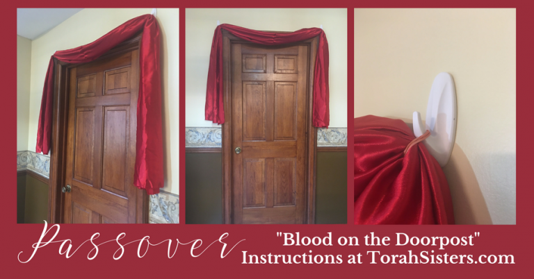 “Blood on the Doorpost” Passover Decoration | Torah Sisters