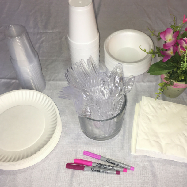 The Sabbath Kitchen Saver Kit | Torah Sisters