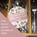 The Sabbath Kitchen Saver Kit | Torah Sisters
