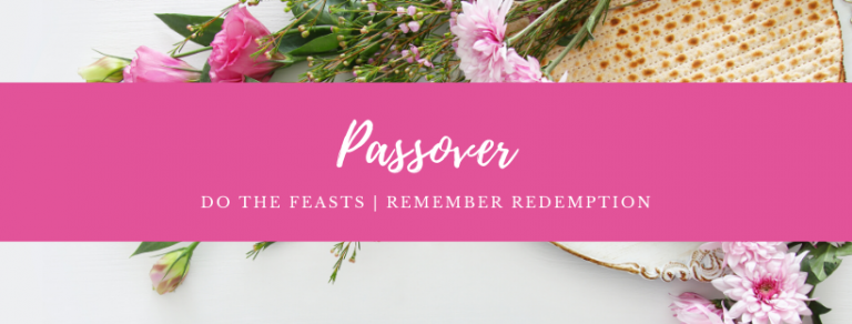 Passover facebook cover | Torah Sisters